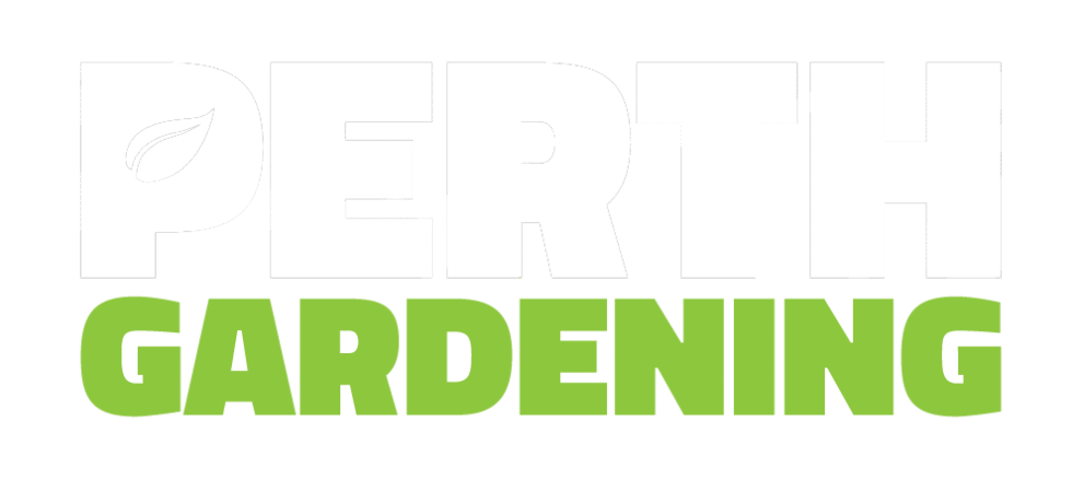 Guide to Watering Plants - When and How | Perth Gardening Experts