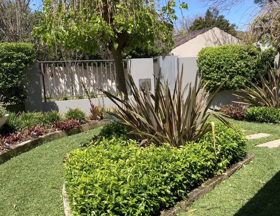 Garden and Lawn Maintenance Services | Perth Gardening Experts
