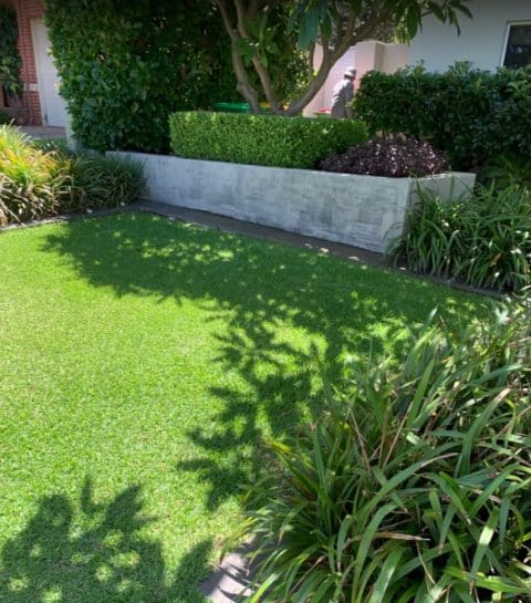 Make Your Garden Greener with City of Cockburn Offers | Gardening ...