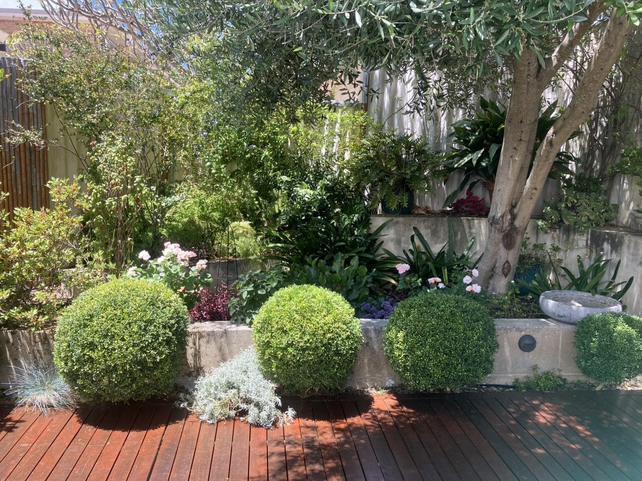 Gardening Services Willetton | Perth Gardening Experts